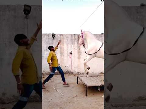 ￼ Badal se Masti #song #rajasthani #jaisalmer #subscribe #viralshorts #india #youtube