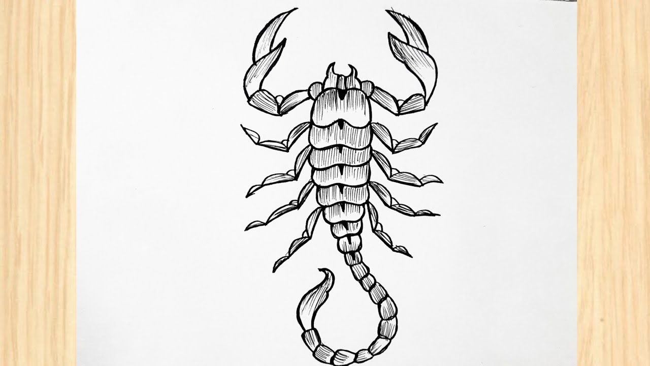 How to draw a scorpion easy step by step - YouTube