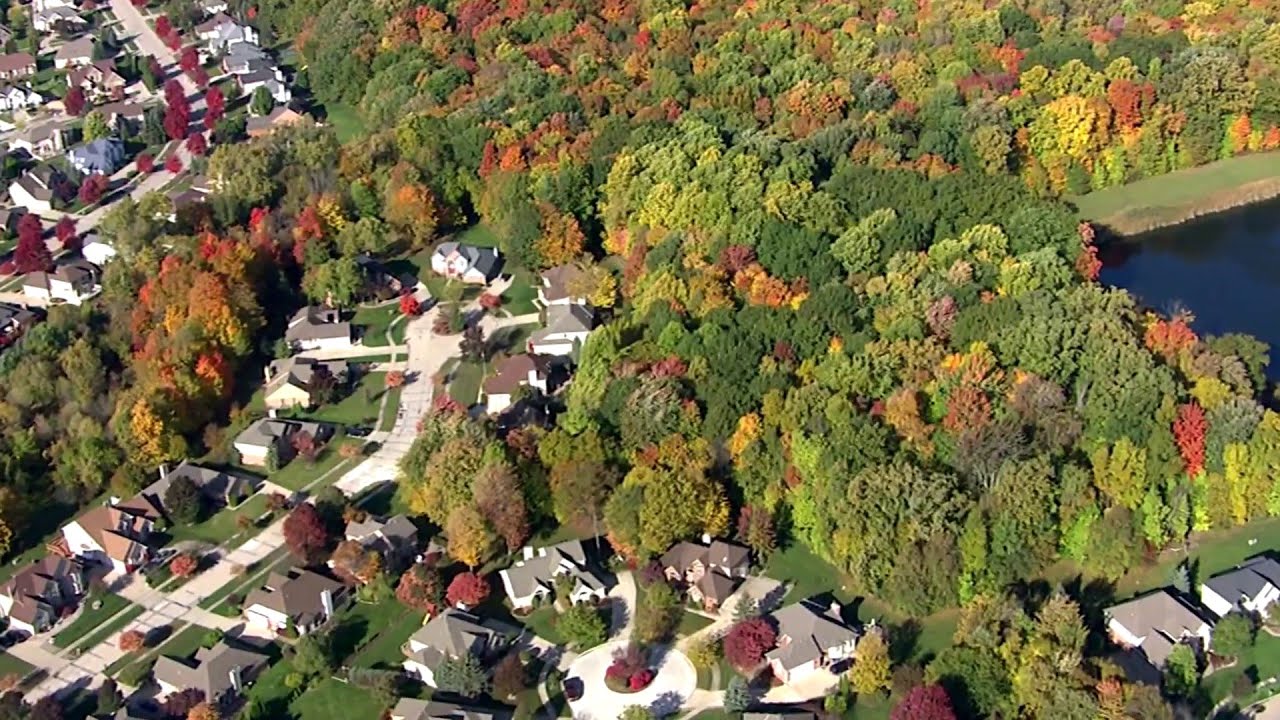 Video shows stunningly beautiful fall foliage in southeastern Michigan ...