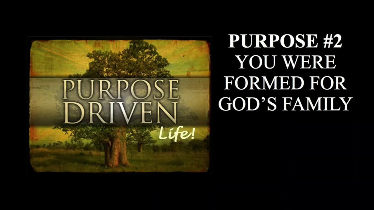 The Purpose Driven Life 3: You Were Formed for God's Family - YouTube