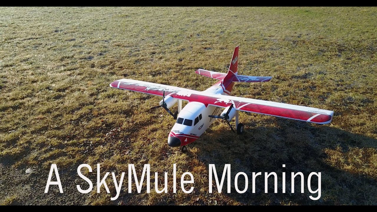 A SkyMule Morning - YouTube