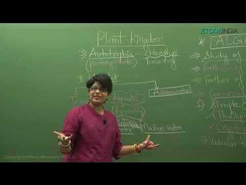 Class 11| Chapter 3| Plant Kingdom| By Akansha mam |Part 2| - YouTube