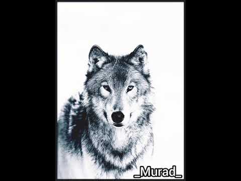 MURAZ HUSEYINOV_PARƏ-PARƏ 2019 mp3🎶🎶