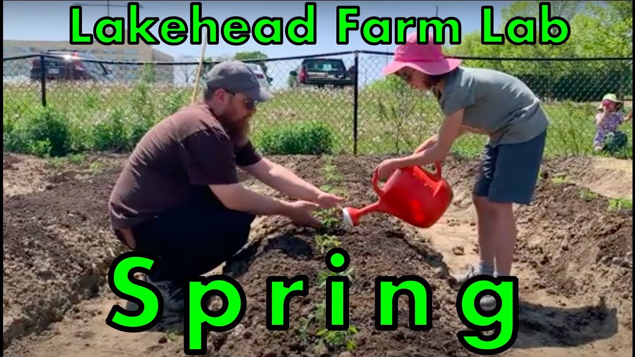 Lakehead Farm Lab Project Spring Episode: A New Hope - YouTube