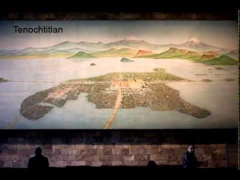 Axolotl. The God of the Xochimilco lake - YouTube