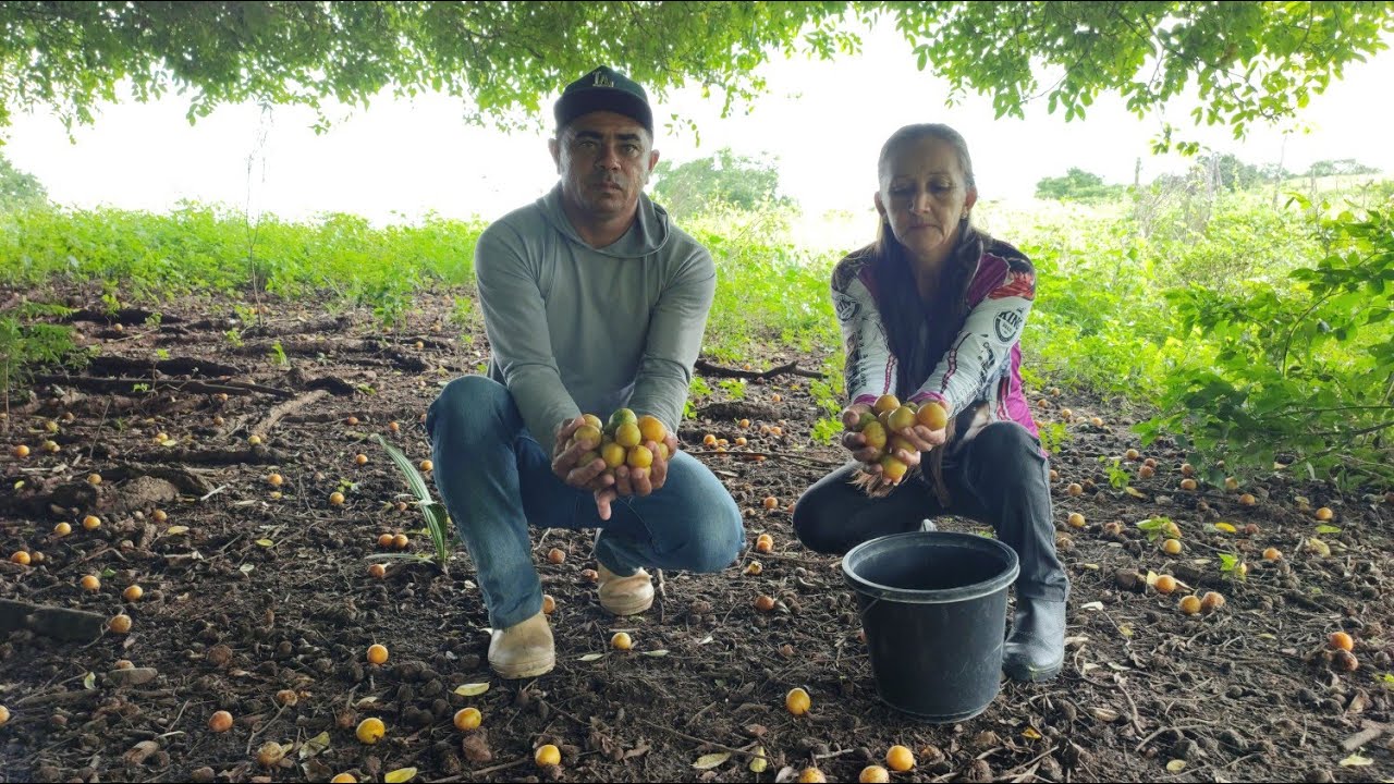 ELES ENCHERAM O BALDE EM POUCOS SEGUNDOS - YouTube