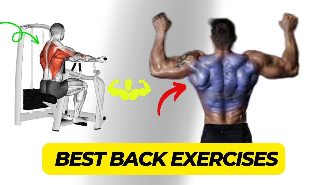 6 Best Back Exercises for Toned Back - YouTube