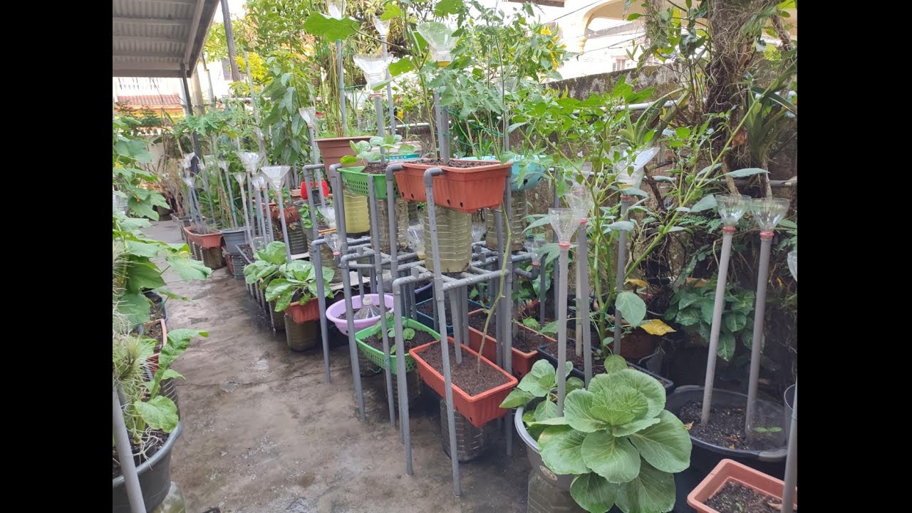 No. 36 self watering pot double deck plant long pots 2 / How to make it ...