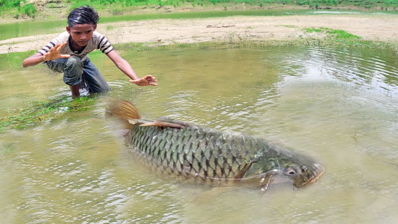Amazing New Big Fish Catching By Hand | Traditional boy Big Fish Catch ...
