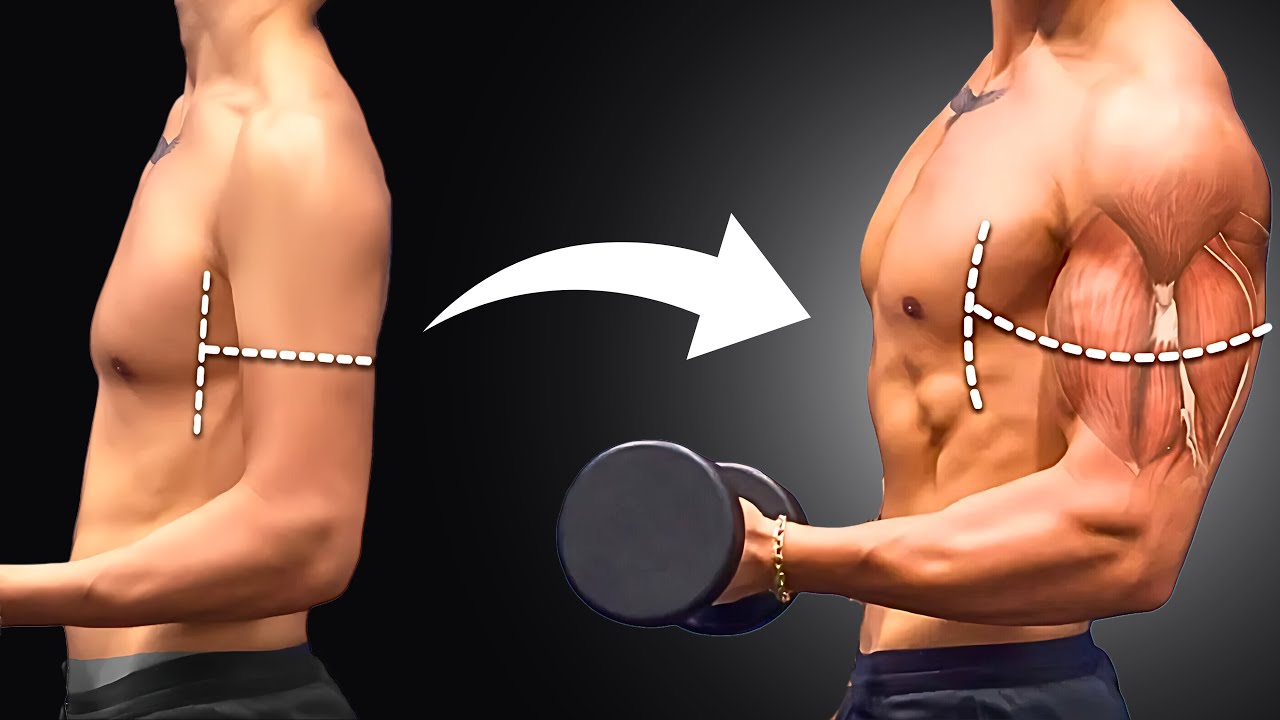 Use Protein To Build Muscle (Science Explained) - YouTube