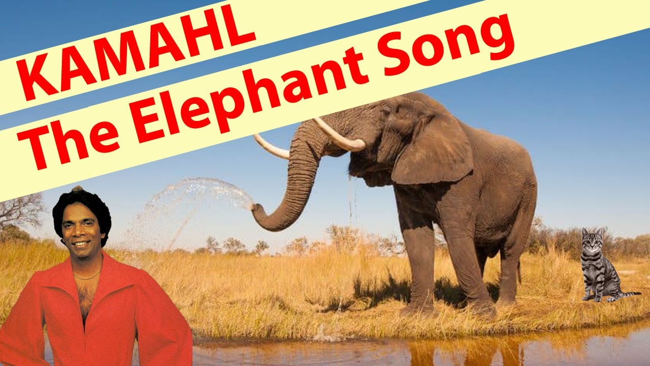The Elephant song by Kamahl it´s a Tribute to Elephants - YouTube
