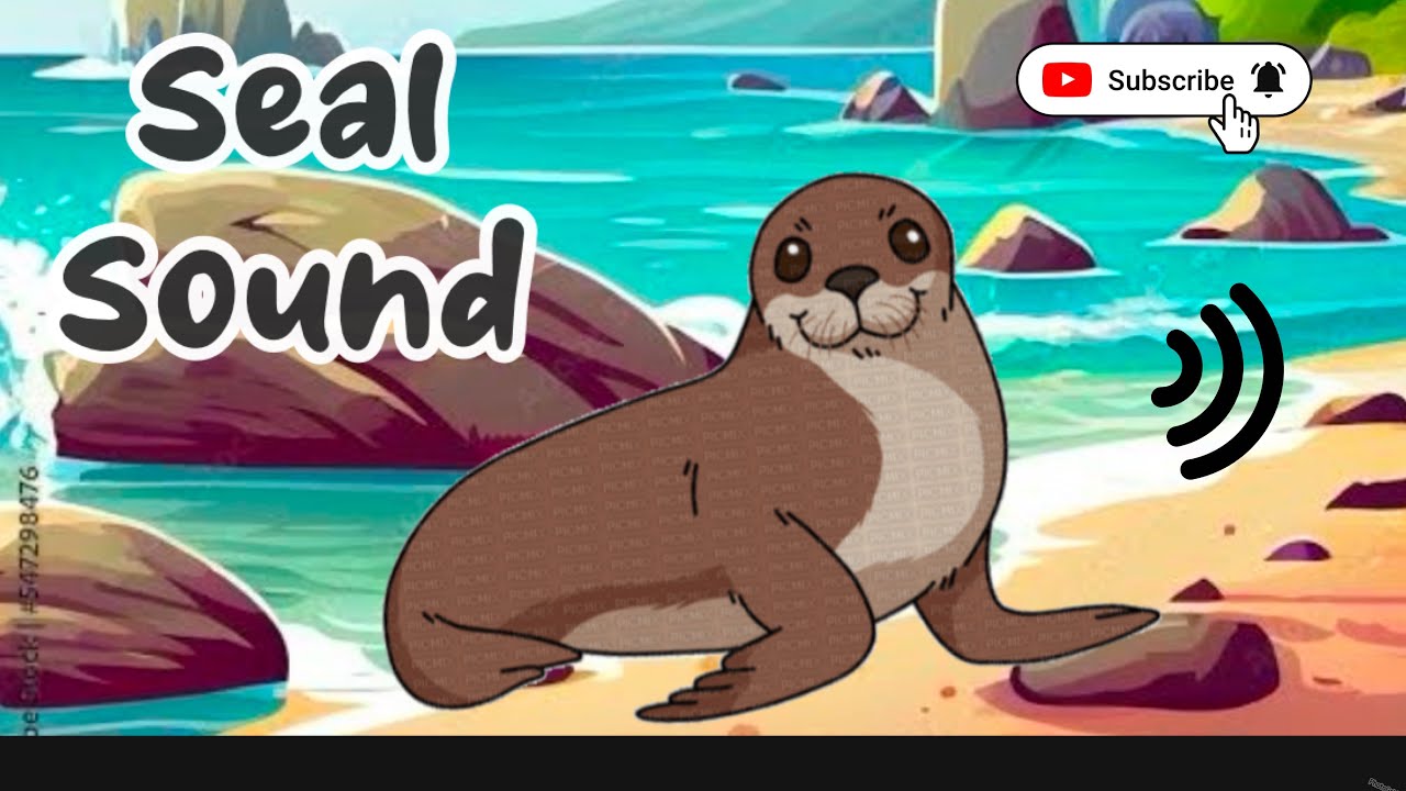 Seal Sound #sea #animals #seal #sound - YouTube