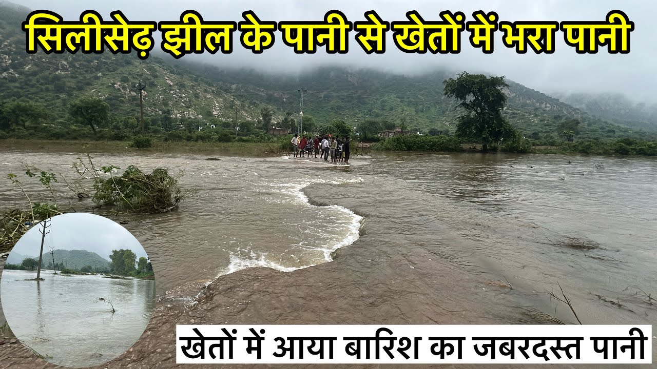 सिलीसेढ़ झील के पानी से खेतों में भरा पानी | Siliserh Lake Alwar ...