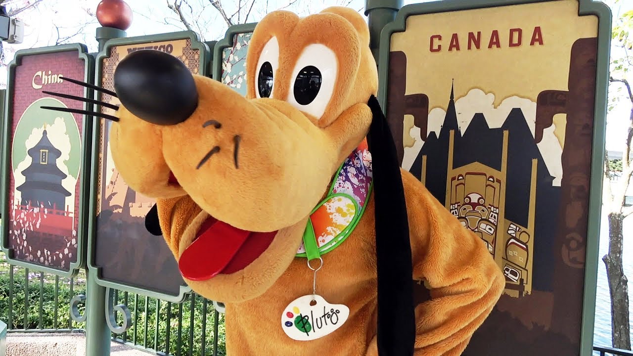 Pluto in Colorful Festival Collar Meet and Greet at the The Epcot ...