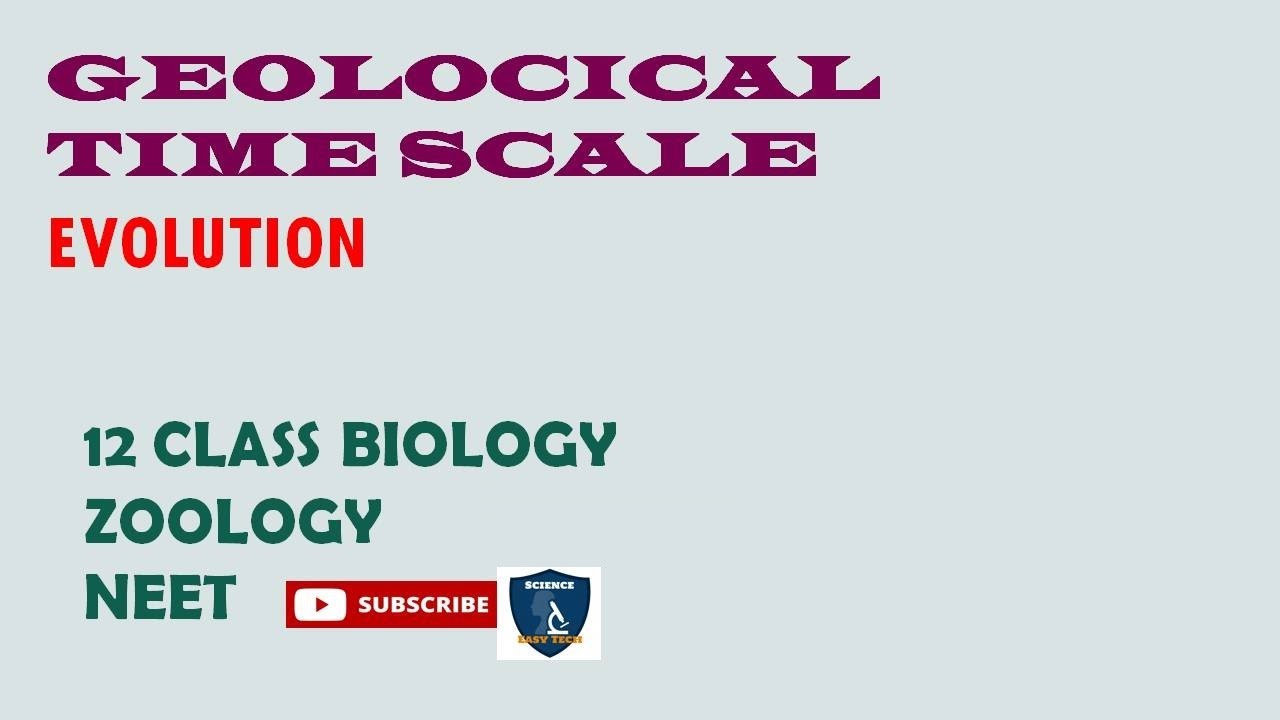 Geological Time Scale I Evolution | Zoology | Class 12 | TNSCERT/CBSE ...