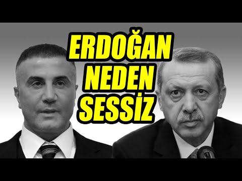 Sedat Peker'in iddialarına Erdoğan neden sessiz? Milletvekili açıkladı