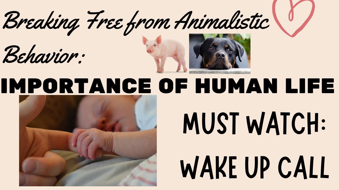 Ending the Animalistic Behavior: Understanding the Importance of Human ...