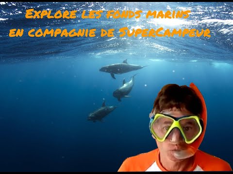 Katcha - Préparer ses vacances en campings pendant le confinement - Leçon5