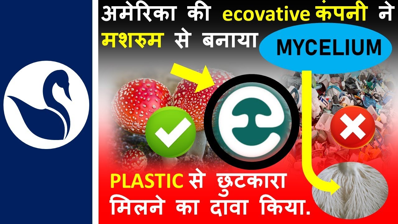American ecovative company devlop an alternative of plastic called ...