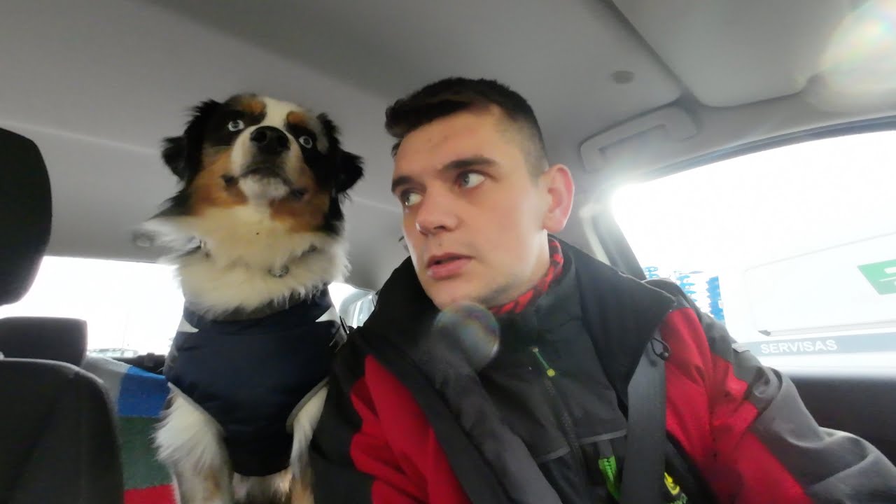 #100 Diskai, miežiai ir novagas - YouTube