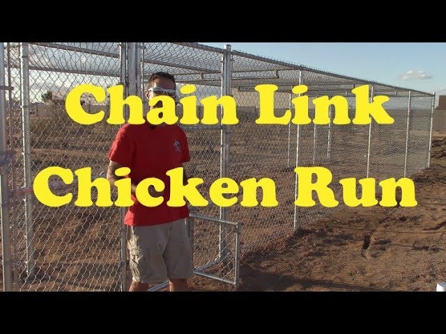 Chain Link Fence Chicken Run Proper Chicken Runs Give Peace Of Mind
