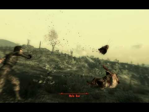 Fallout 3 - Fisto! meets Mole Rat - YouTube