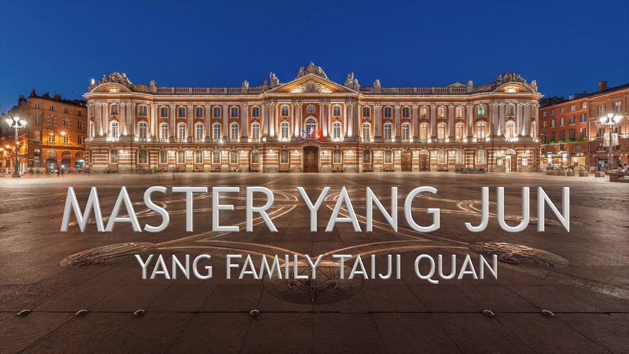 Toulouse Master Yang Jun seminar - YouTube