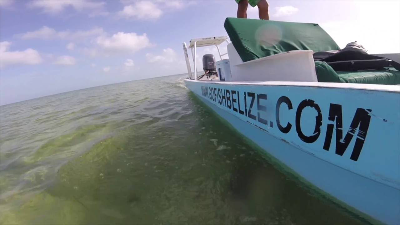 Belize Permit FIshing - YouTube