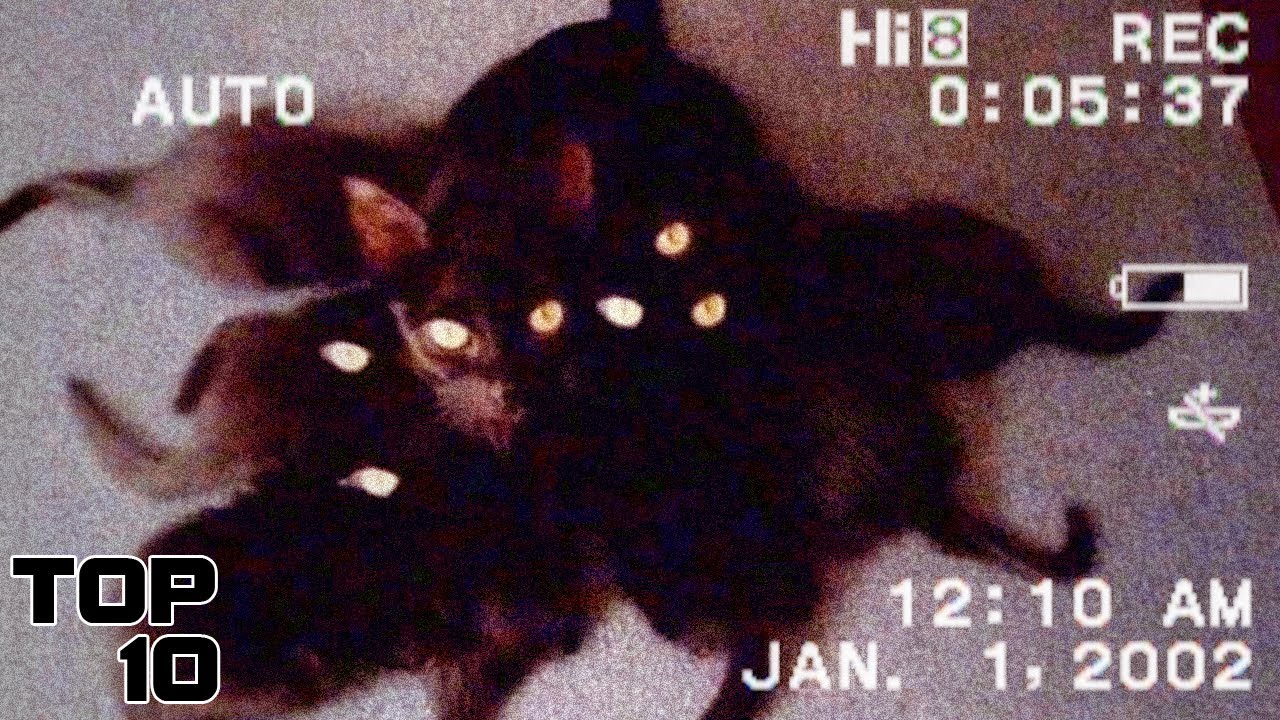 Top 10 Cursed Videos That CAN’T Be Explained - Part 4 - YouTube