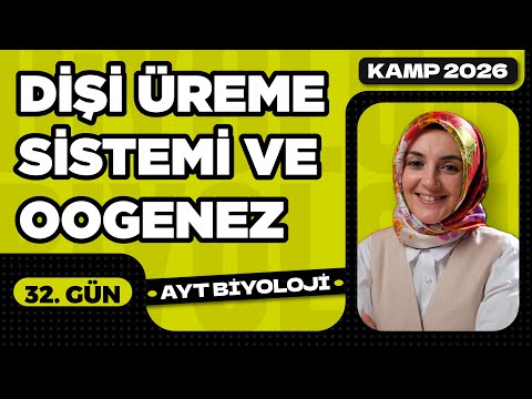 32) Dişi Üreme Sistemi ve Oogenez | Üreme Sistemi | 11. Sınıf | AYT Biyoloji Kampı 32. Video