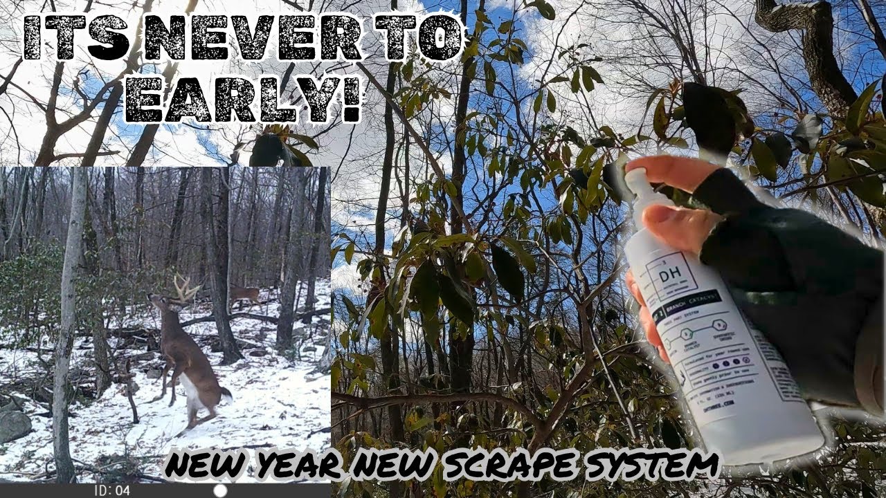 DH3 | Full Synthetic scrape system | Late season scouting the Big Woods ...