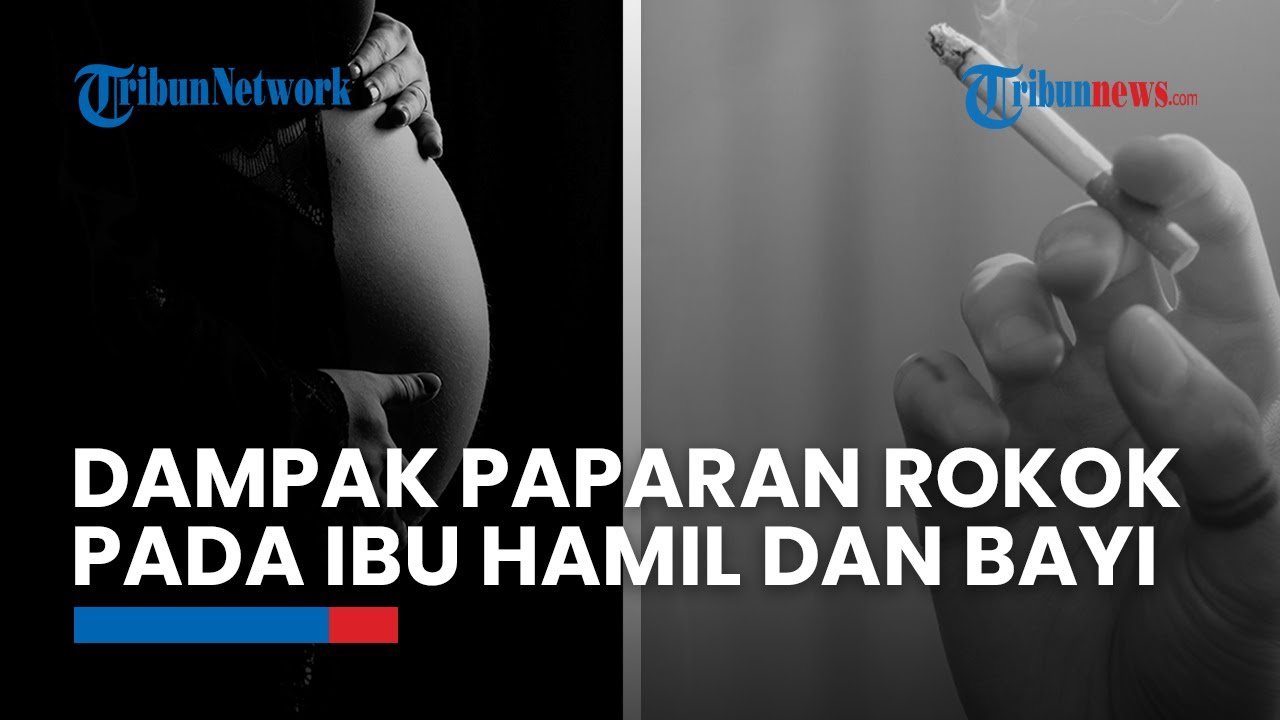 Pajanan Rokok Pada Ibu Hamil Bisa Berdampak Pada Bayi - YouTube
