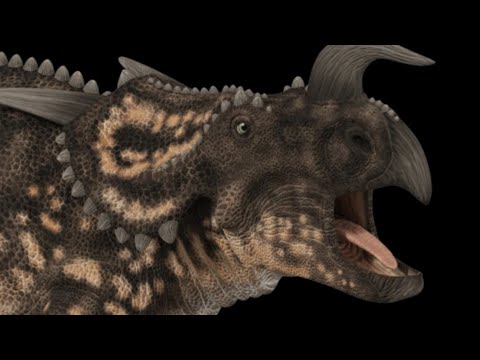 Einiosaurus Sound Effects