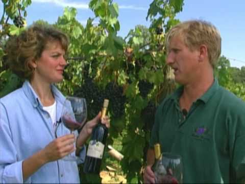 The Good Life with Jill Ditmire | Huber Orchards & Winery - YouTube