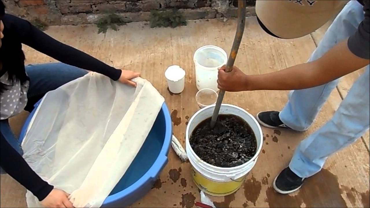 Preparacion para la aplicacion de TRICHODERMAS - YouTube