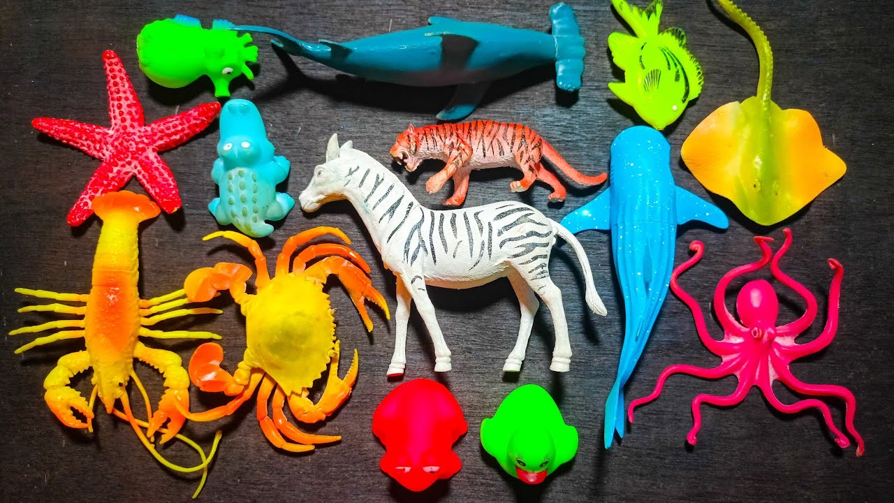 zebra, shark, duck, crocodile, octopus, stingray, tiger, seahorse - YouTube