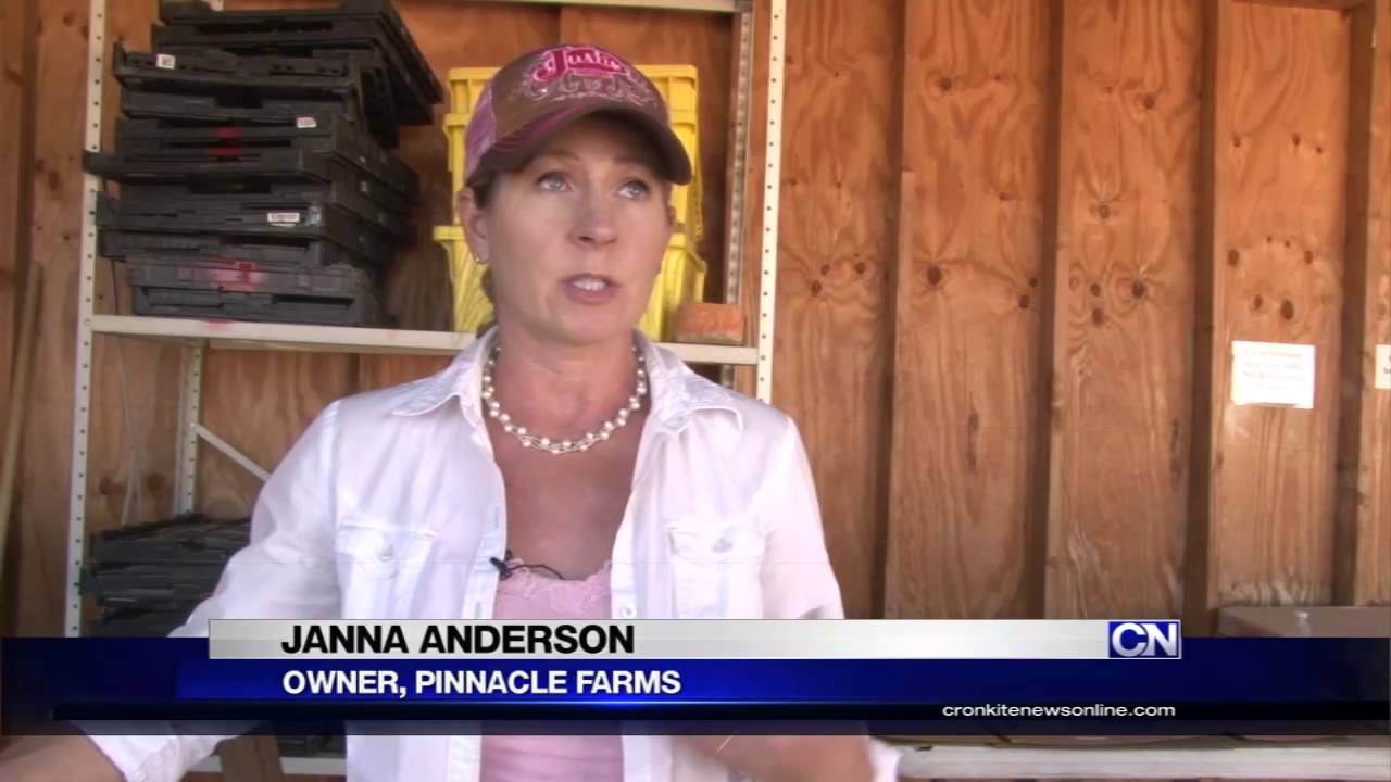 Two Arizona counties top nation for female farm operators - YouTube