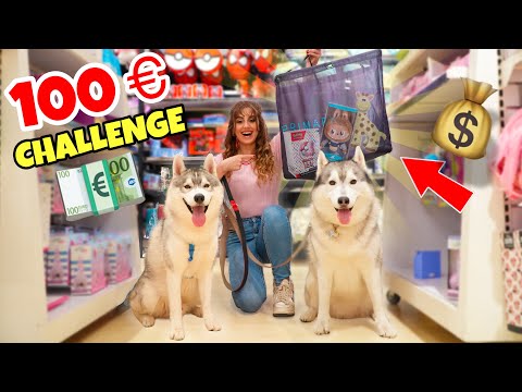 100€ CHALLENGE da PRIMARK! 💶😯💰 *COMPRO TUTTO* | MARTY E YUKO 