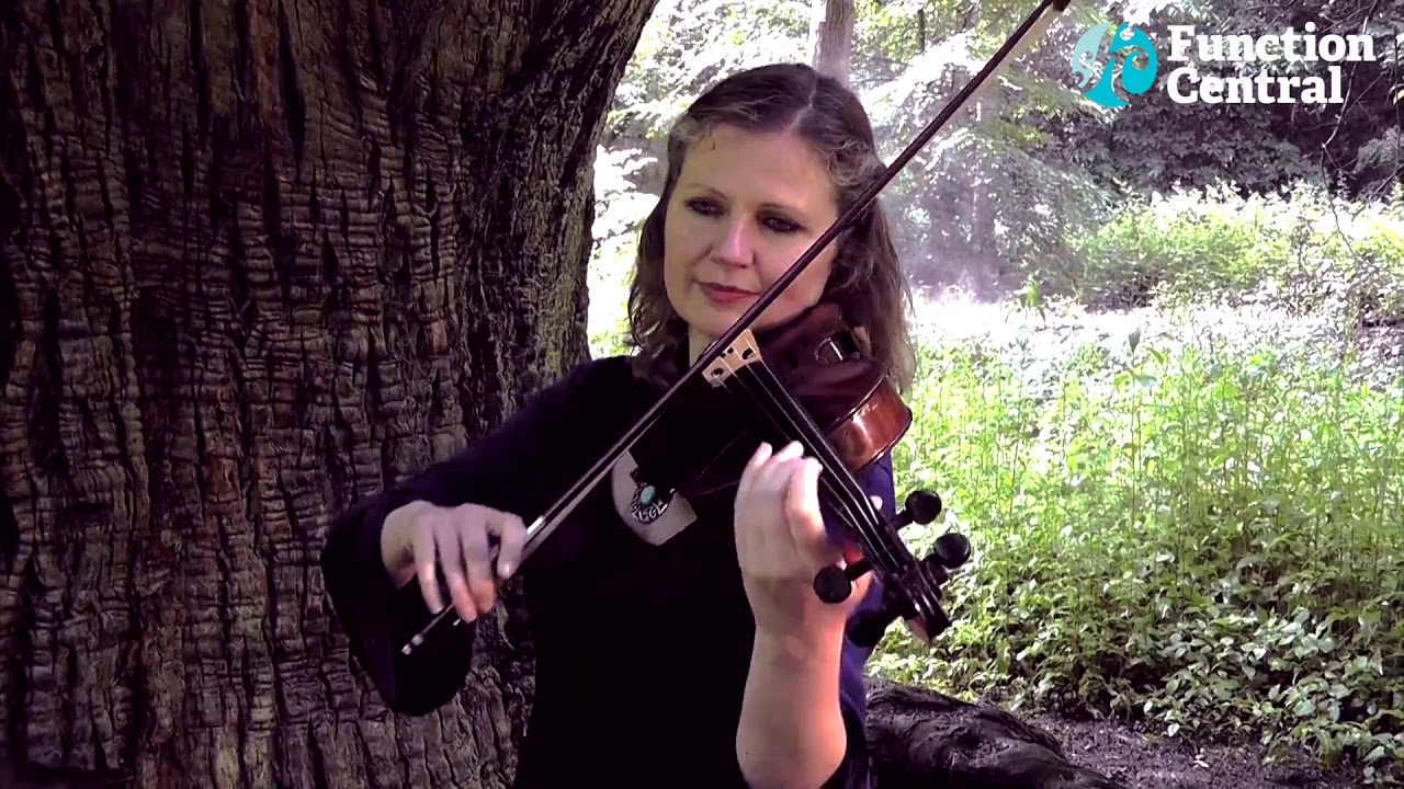 Sunshine Strings – String Quartet | London | Hire from Function Central - YouTube