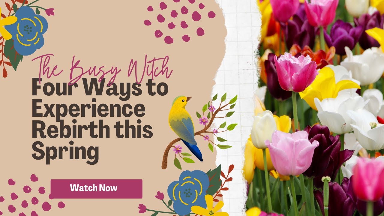 Four Ways to Experience Rebirth this Spring - YouTube