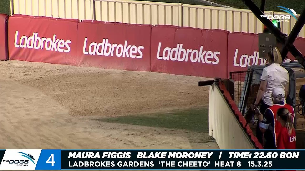 The Cheeto HEAT 8 - Maura Figgis - YouTube