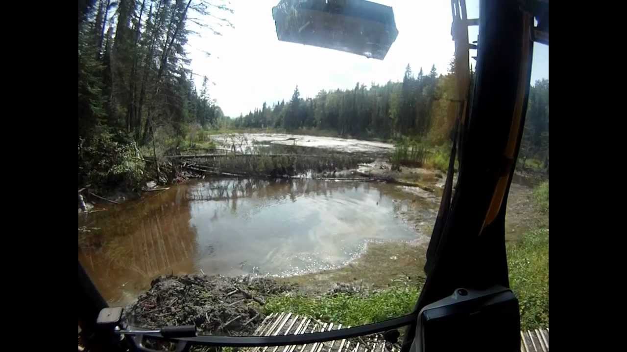Breaking a beaver dam part 2 - YouTube
