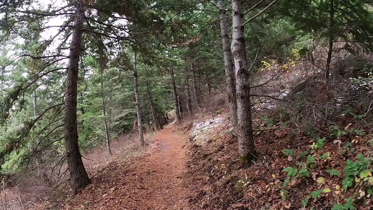 Red Grade Trail East Loop - YouTube