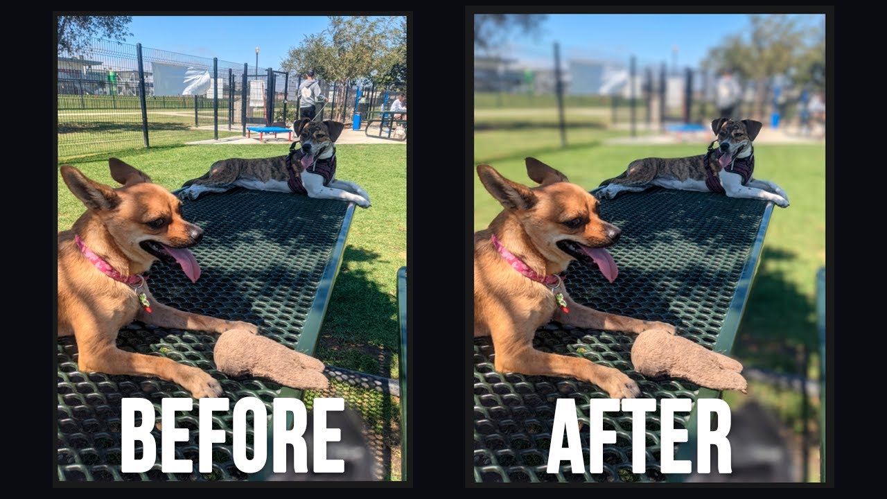 How to Use the Windows Photo App Blur Background Tool - YouTube