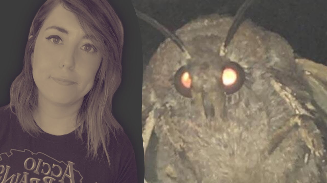 Surviving in the Moth House - YouTube