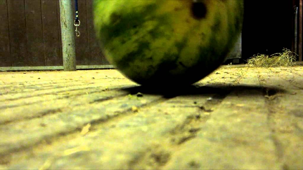 Melon smash - YouTube