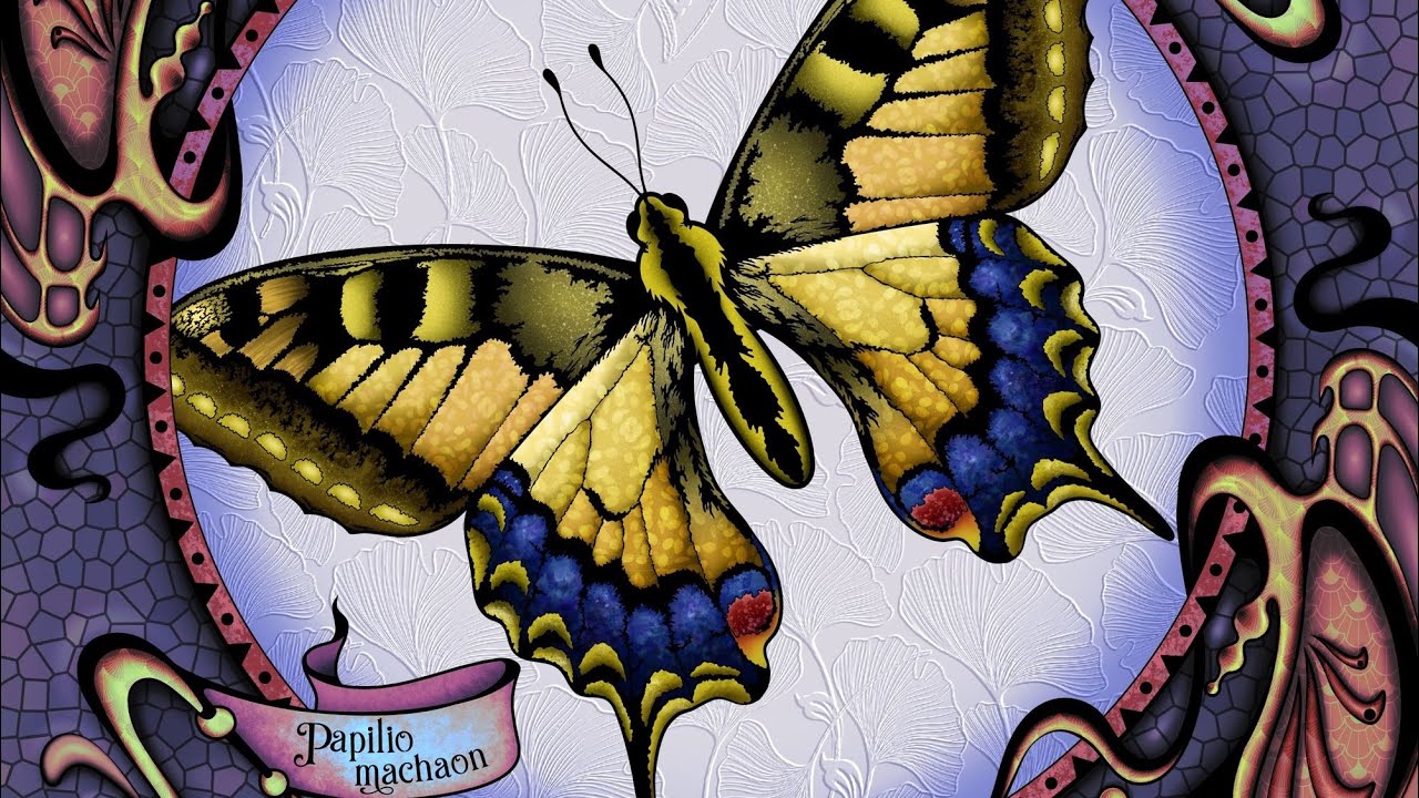 Hey Color App Butterfly Collection 01 #paintbynumbers #colorwithme # ...