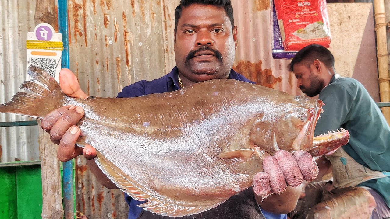 KASIMEDU 🔥 SPEED SELVAM | SOLE NAAKU FISH CUTTING VIDEO | 4K VIDEO | KM ...