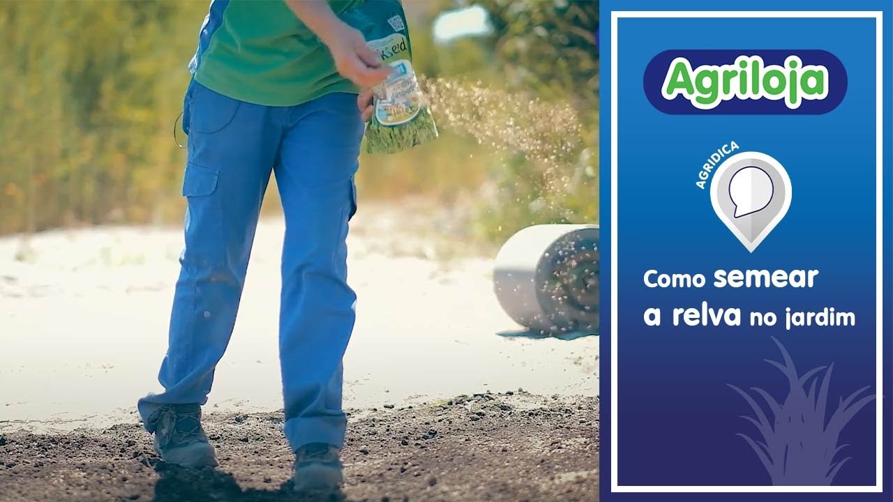 Como semear a relva no jardim? - YouTube