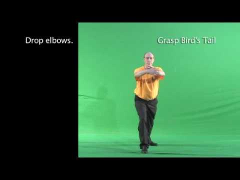 Grasp Bird's Tail
